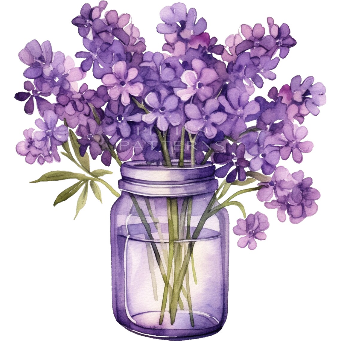 Statice PNG Clipart - Etsy