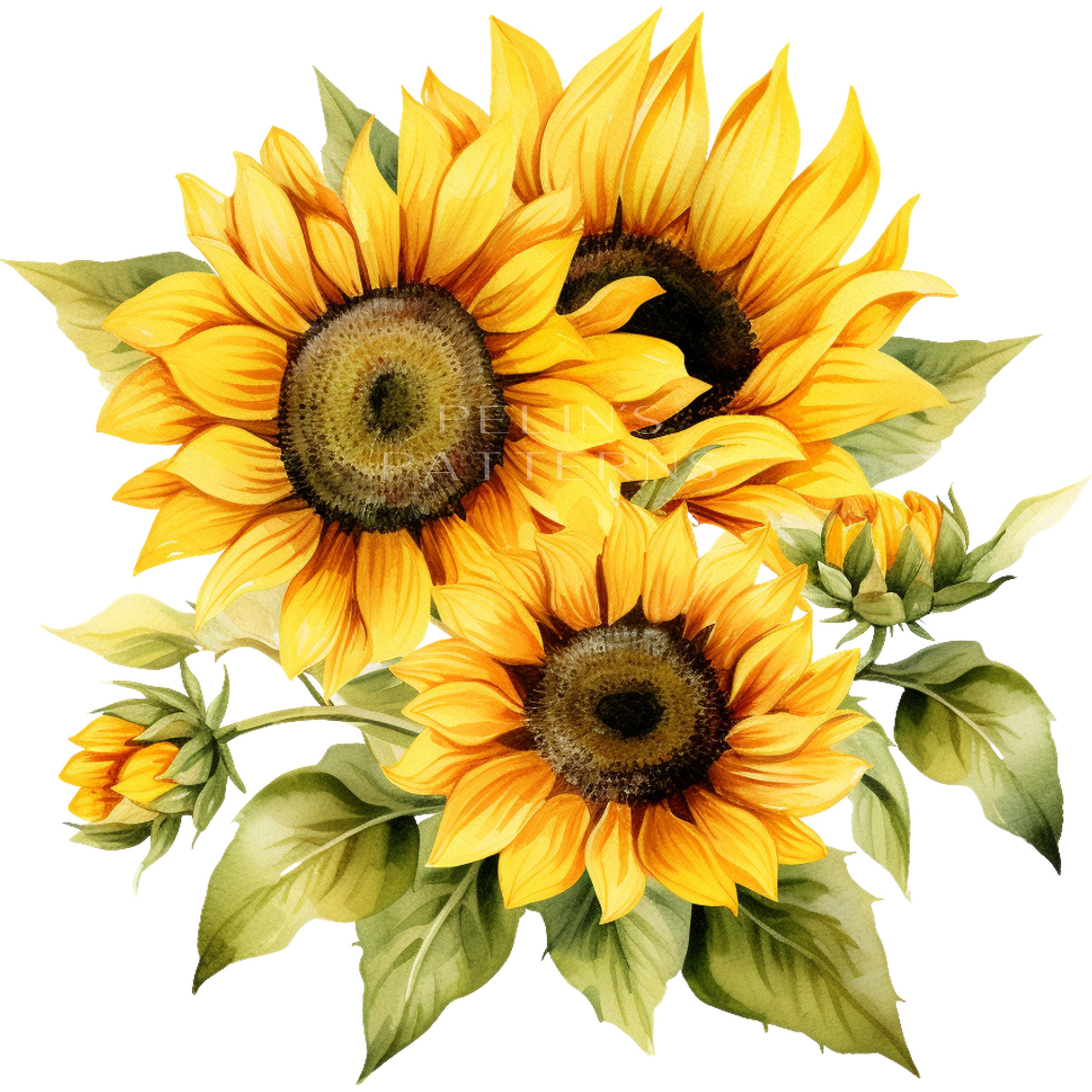 Watercolor Sunflower Clipart PNG - Etsy