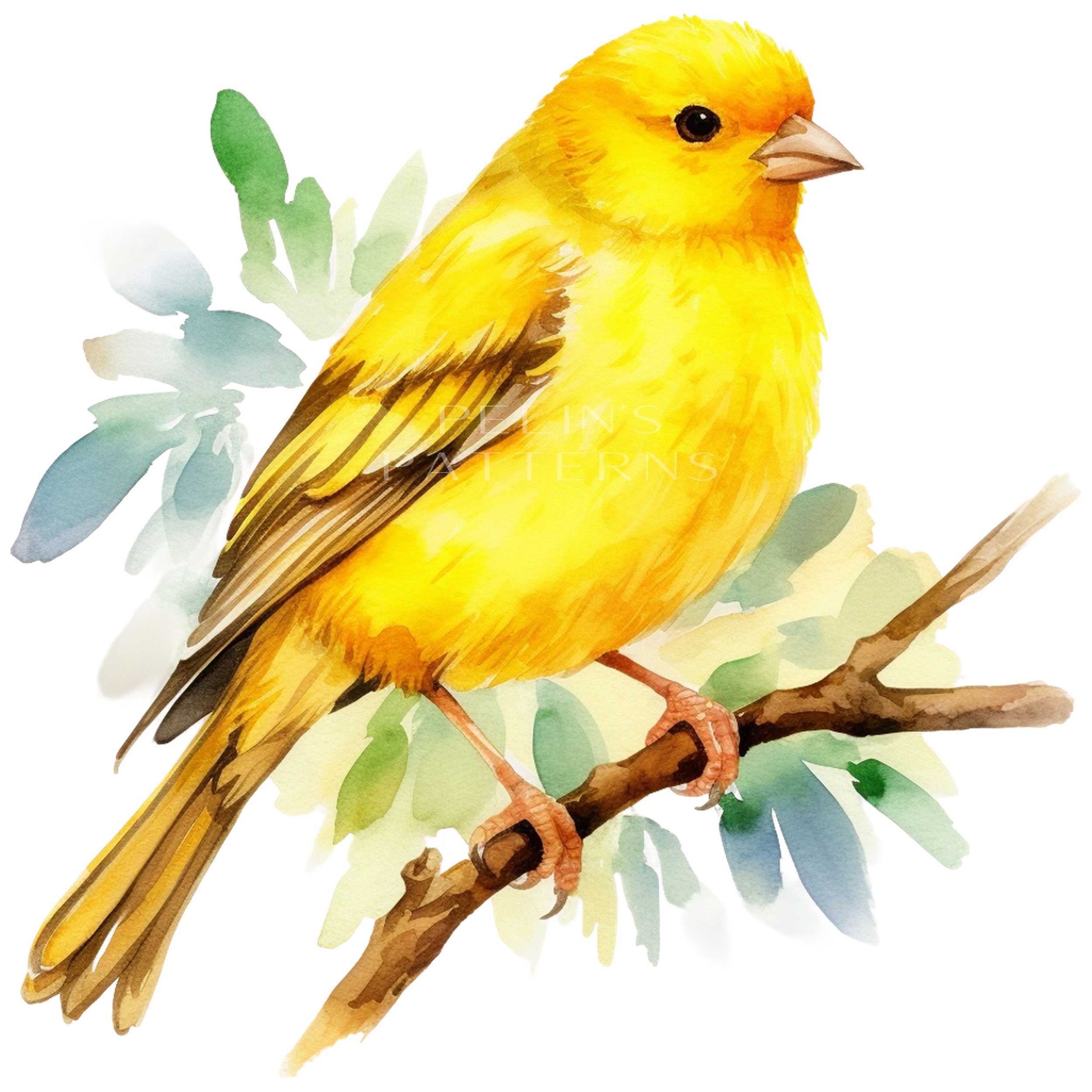 Canary Png Clipart - Etsy