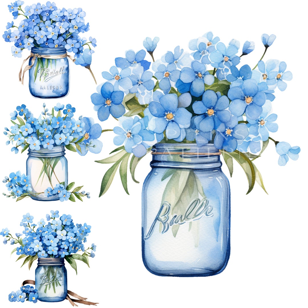 Forget-me-not PNG Clipart - Etsy