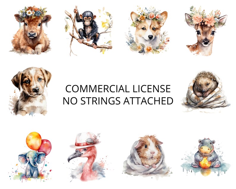 Watercolor Baby Animals Clipart PNG Bundle Illustration - Etsy