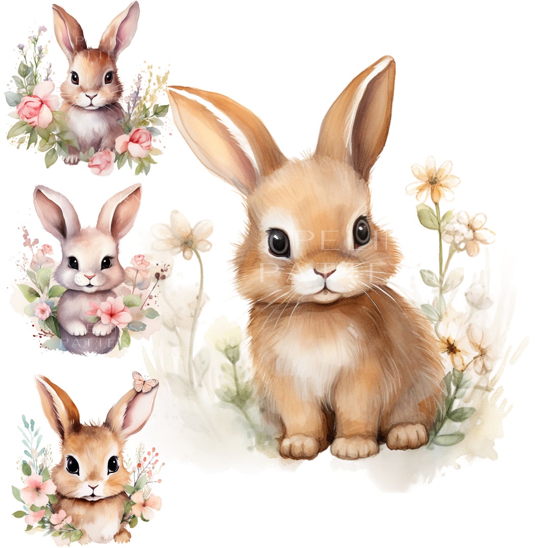 Watercolor Rabbit Clipart PNG - Etsy