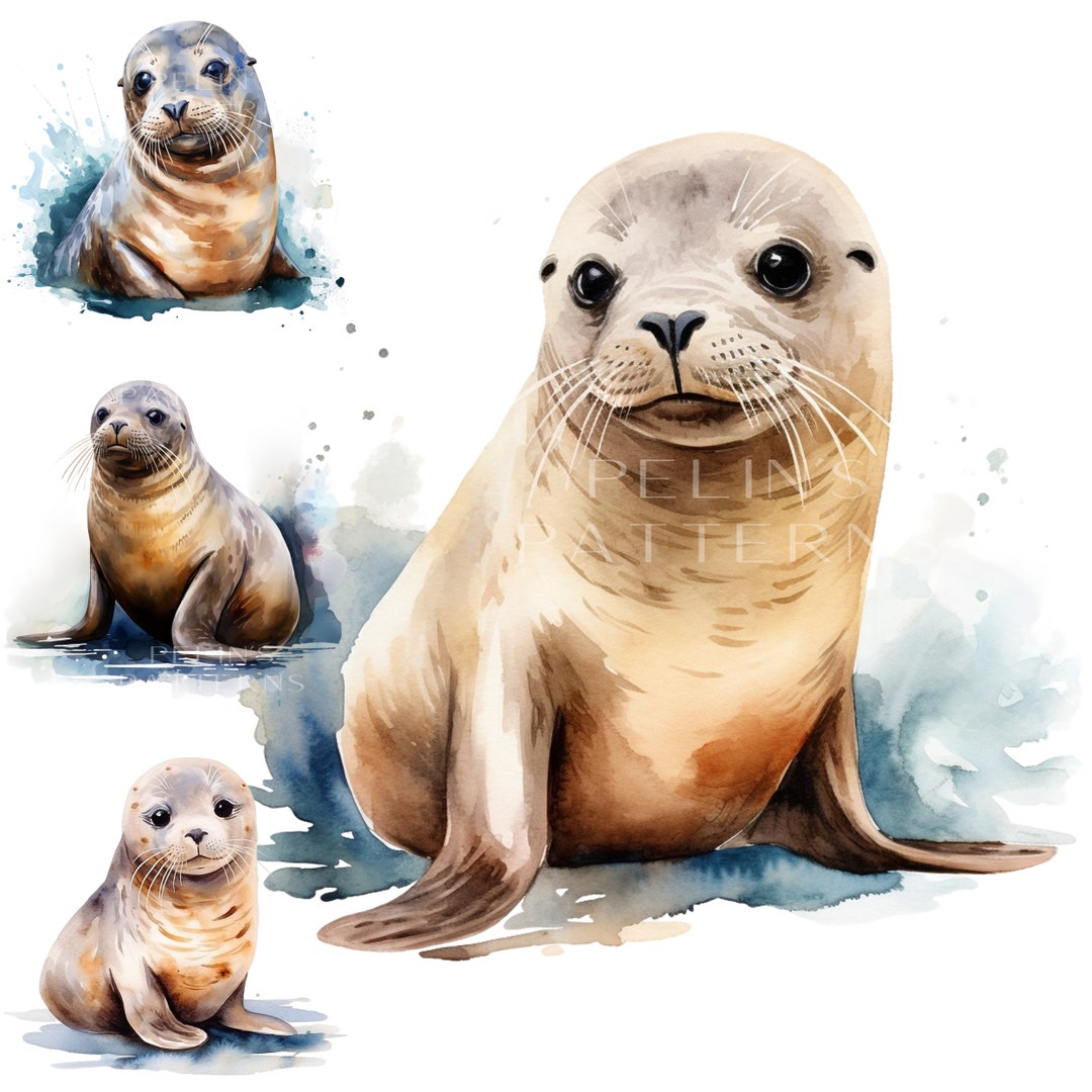 Seal Png Clipart - Etsy