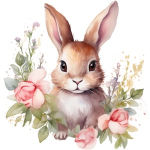Watercolor Rabbit Clipart PNG - Etsy