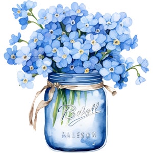 Forget-me-not PNG Clipart - Etsy