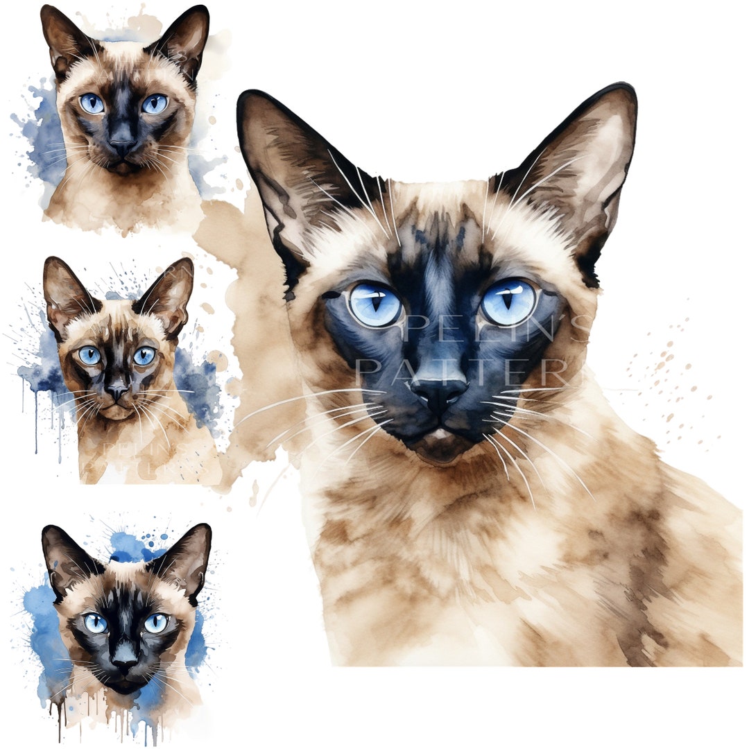 Siamese Cat Png Clipart - Etsy