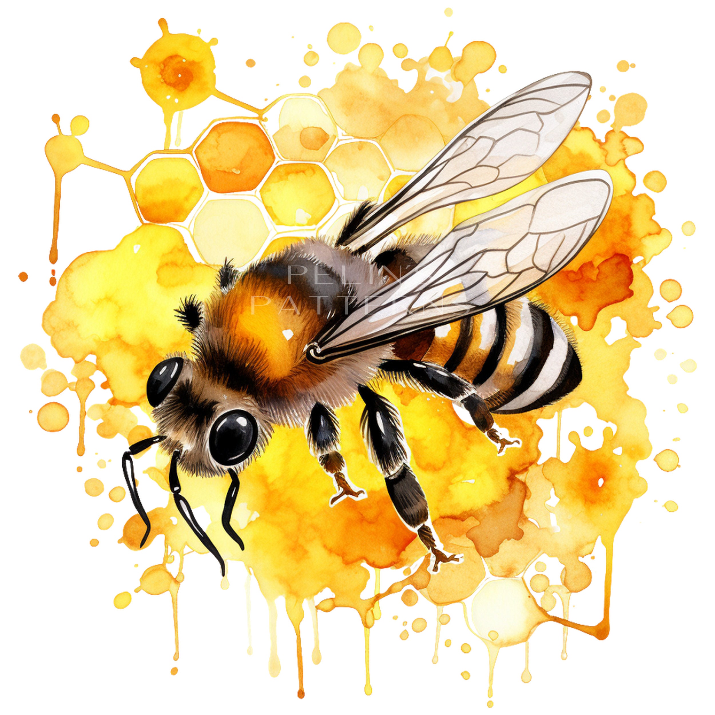 Honey Bee Clipart Png - Etsy