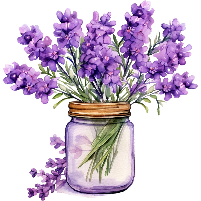 Statice PNG Clipart - Etsy