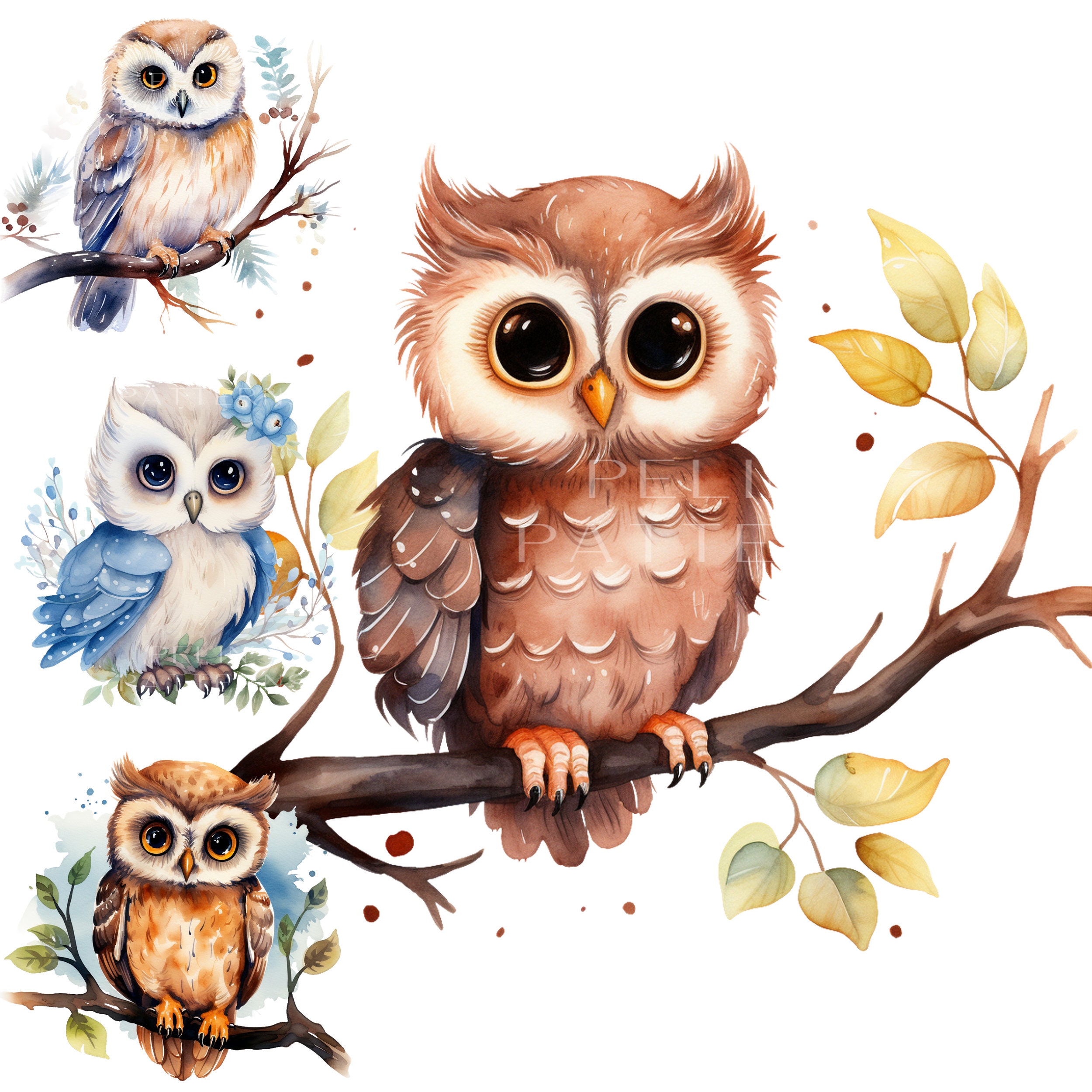 Watercolor Owl Clipart PNG - Etsy