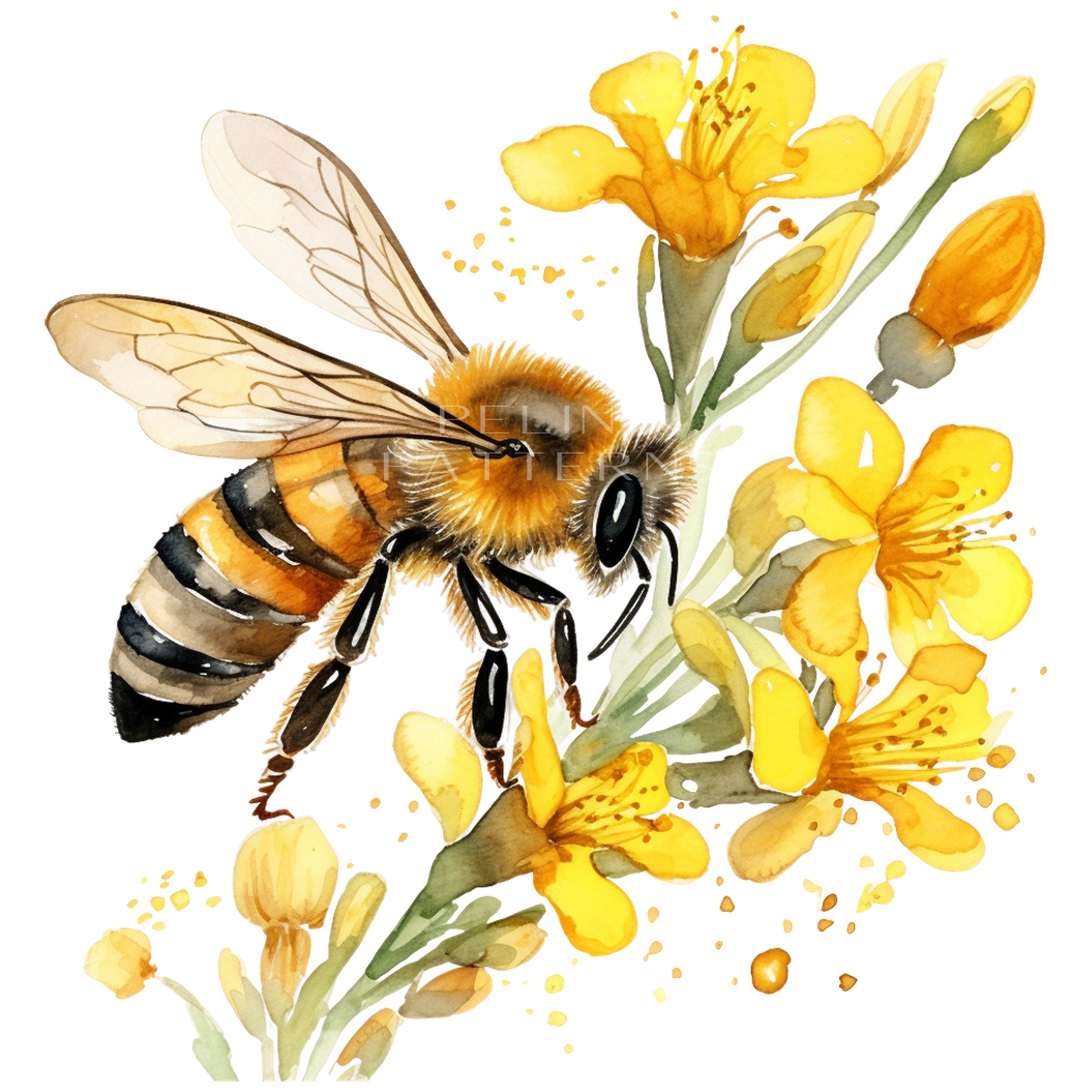 Honey Bee Clipart Png - Etsy