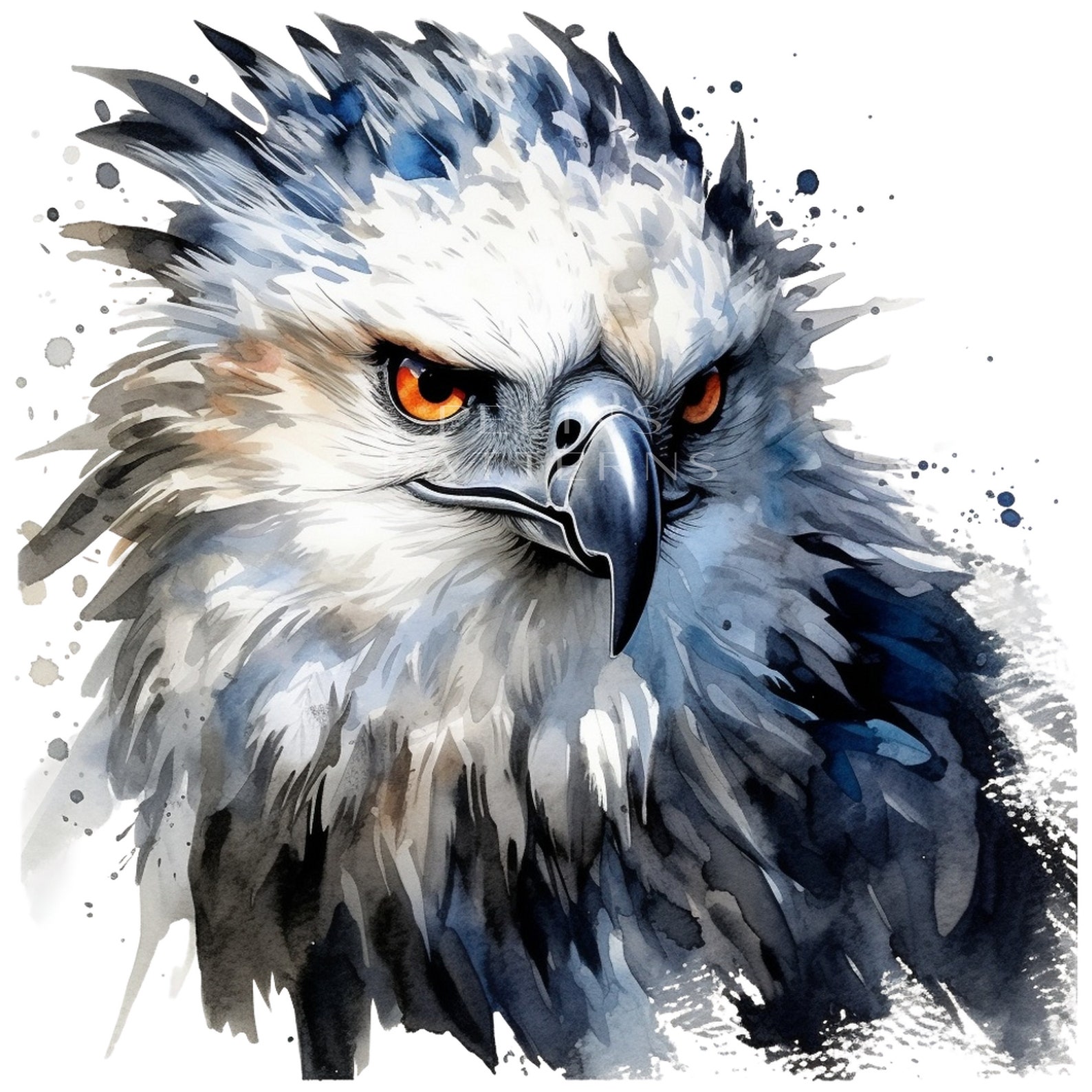 Harpy Eagle Png Clipart - Etsy