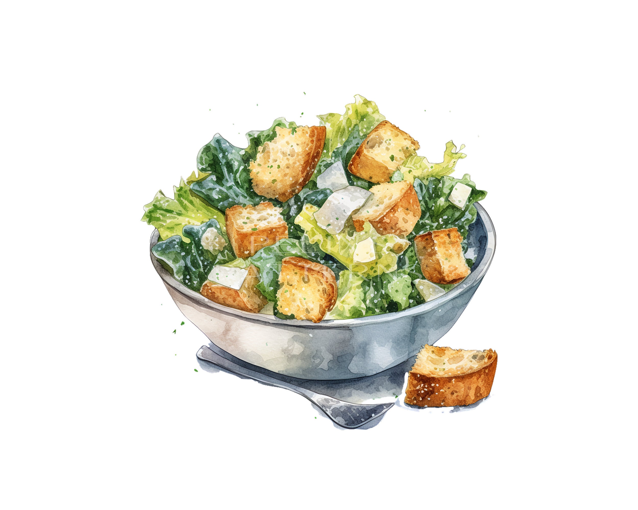 Caesar Salad Drawing