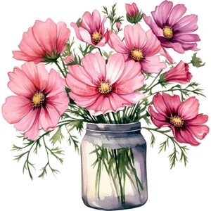 Cosmos PNG Clipart - Etsy