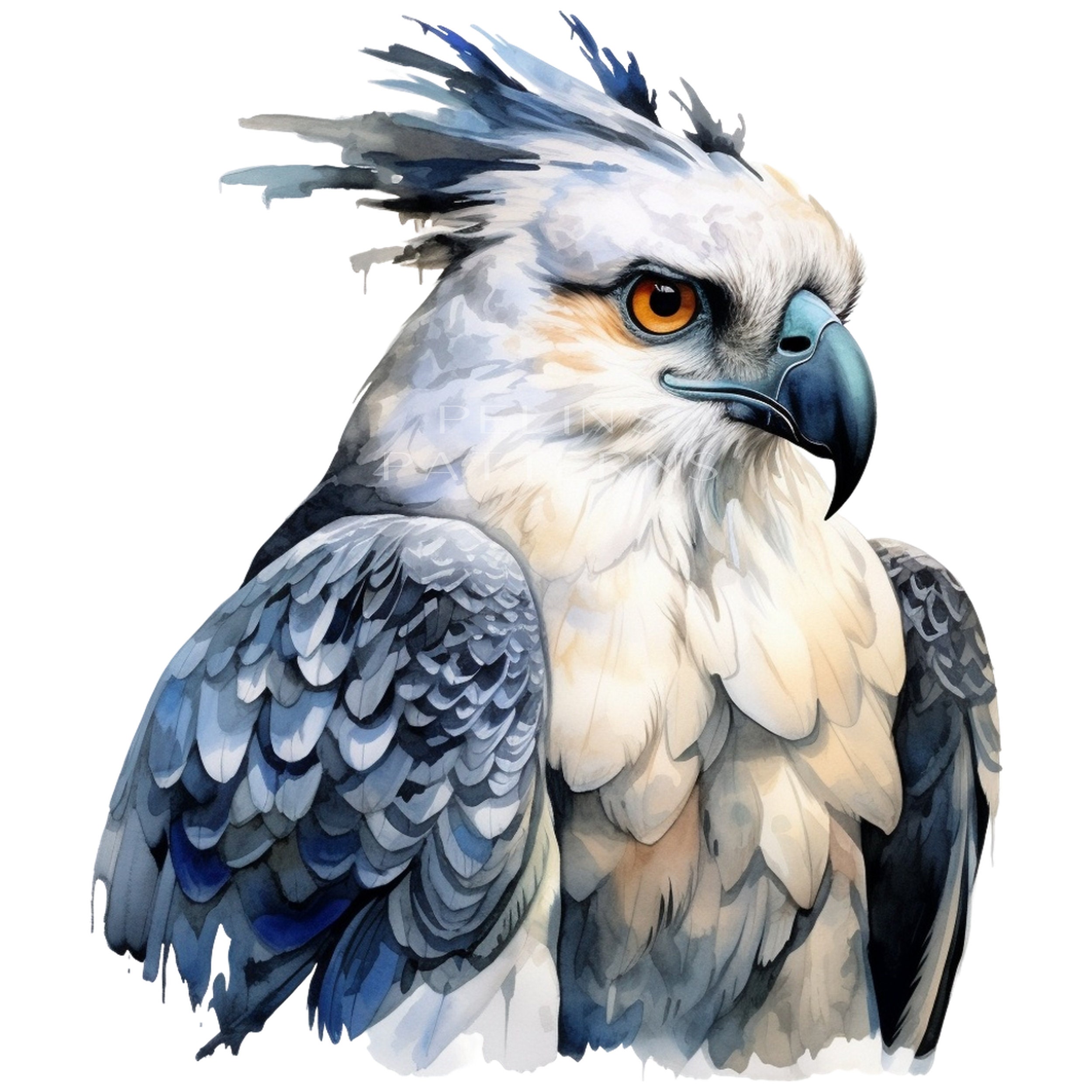 Harpy Eagle Png Clipart - Etsy