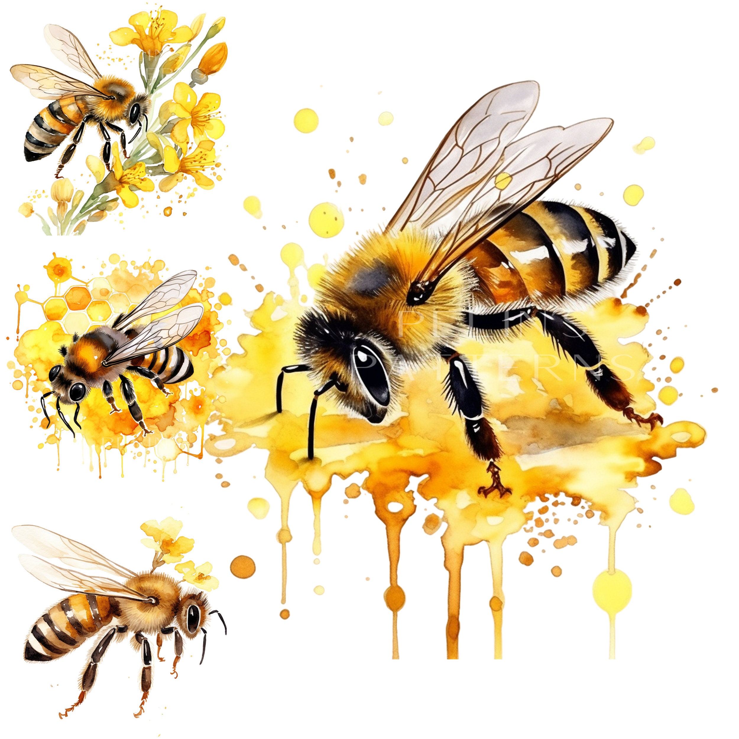 Honey Bee Clipart Png - Etsy