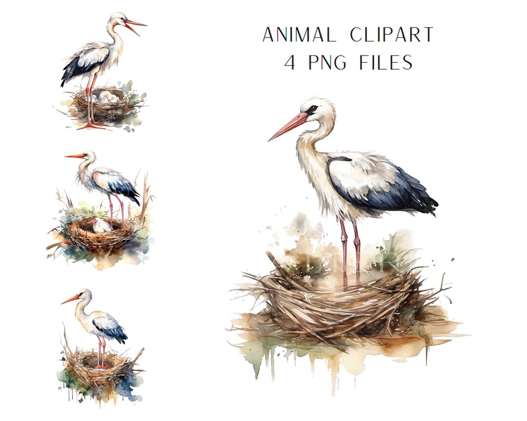 Stork Clipart PNG - Etsy