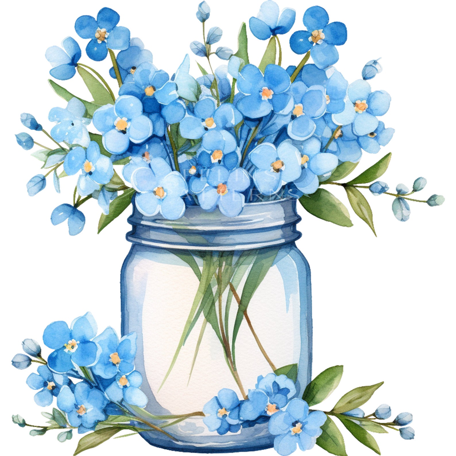 Forget-me-not PNG Clipart - Etsy