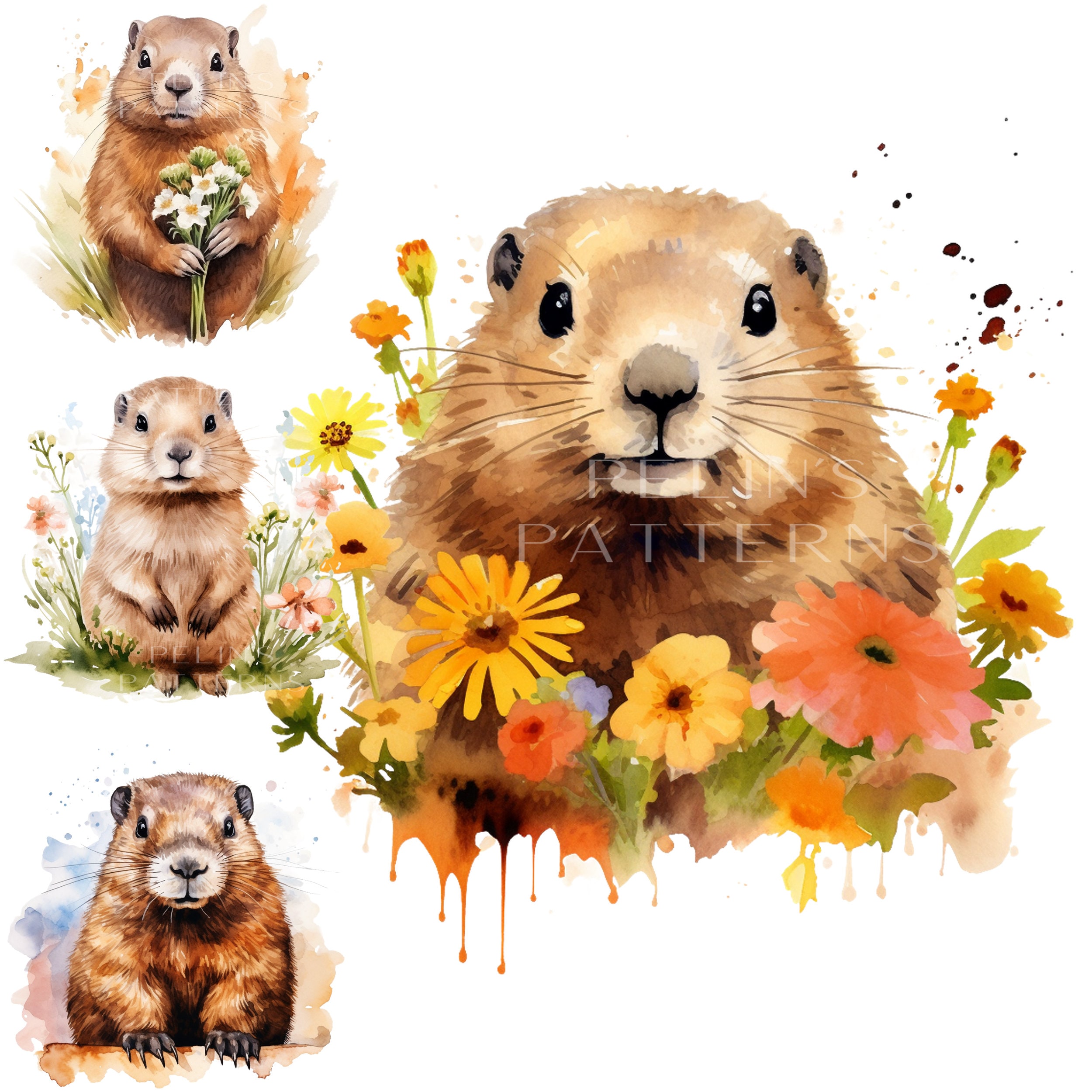 Cute Groundhog Clipart