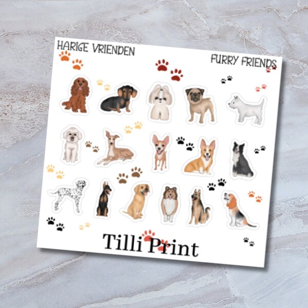 Furry Sticker Book - Etsy