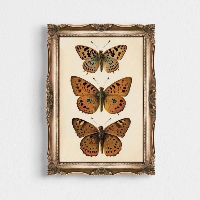 Butterfly Print - Etsy