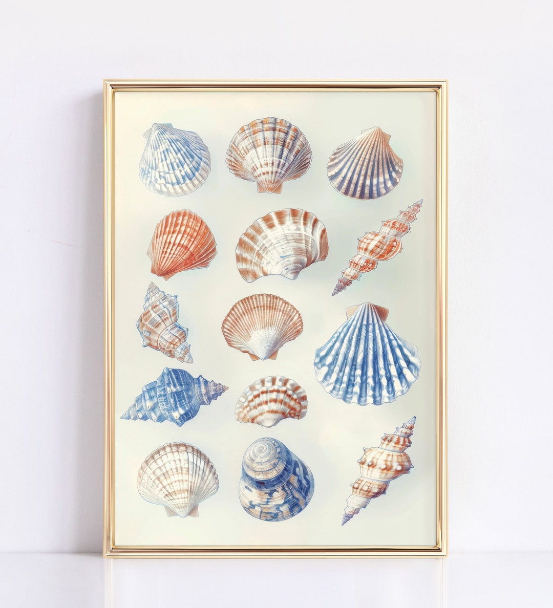 Seashell Art for Coastal Cowgirl Decor | Beachy Room Decor and Surf ...
