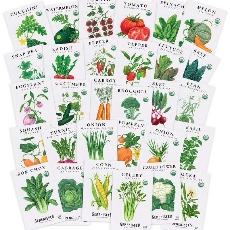 Virginia Pollinator Seeds - Etsy
