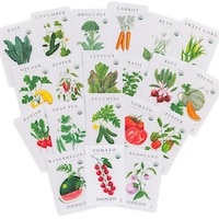 Packman Hybrid F1 Broccoli Seeds - Etsy