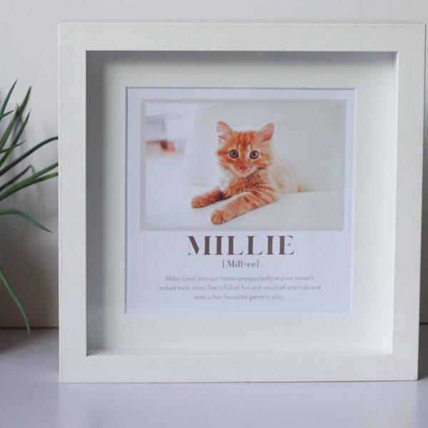 Cat Photo Frame - Etsy UK