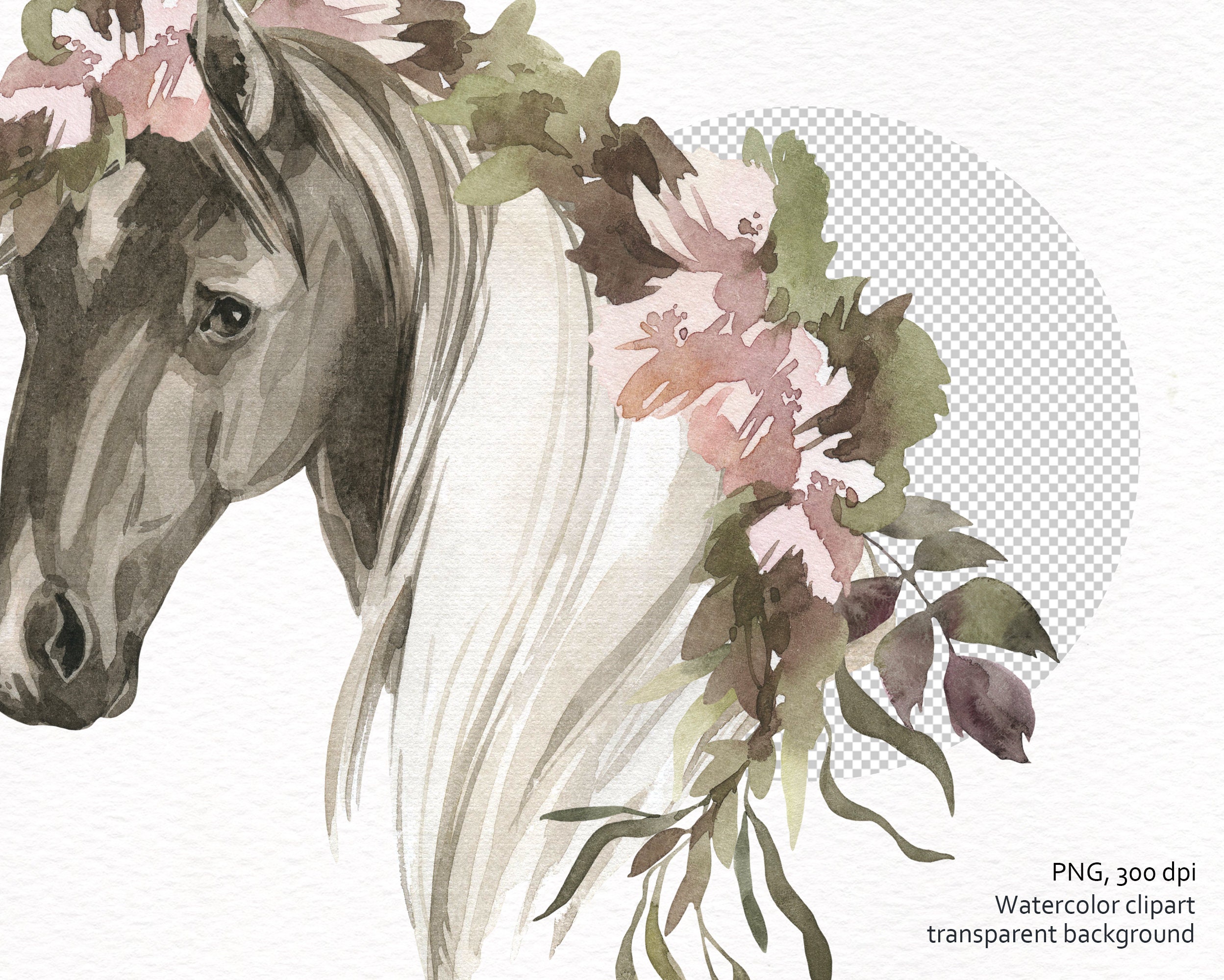 Watercolor Horse Painting PNG Clip Art. Wild Animals Illustration Set ...