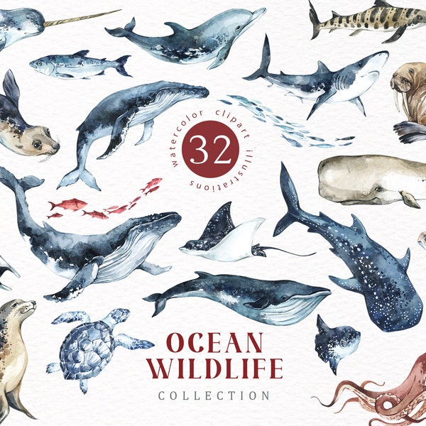 Whale Watercolor - Etsy