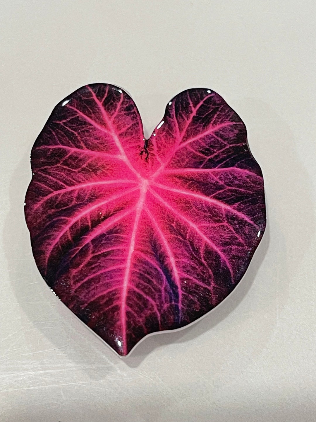 Pop Socket Plant Phone Case-plant Creations-philodendron Pink Princess ...