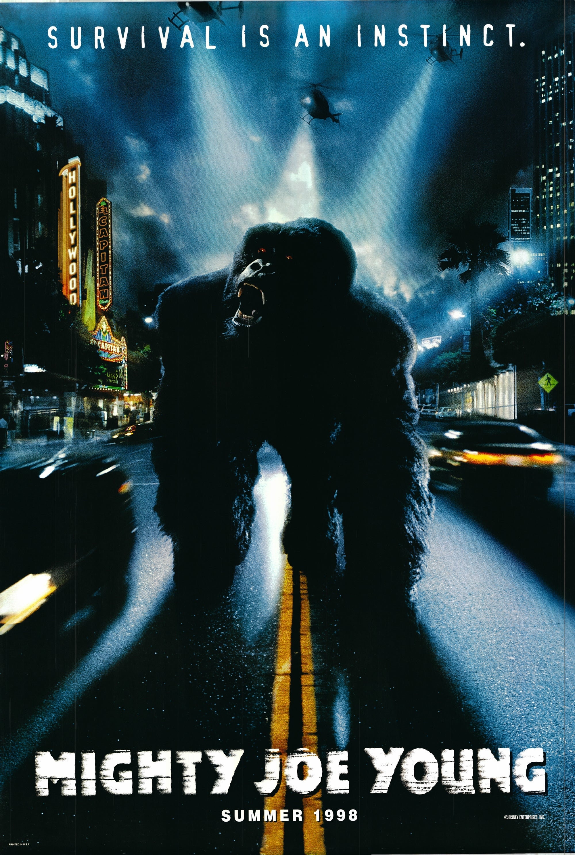 Mighty Joe Young 1998 Advance One Sheet Poster Rolled Double Sided on ...