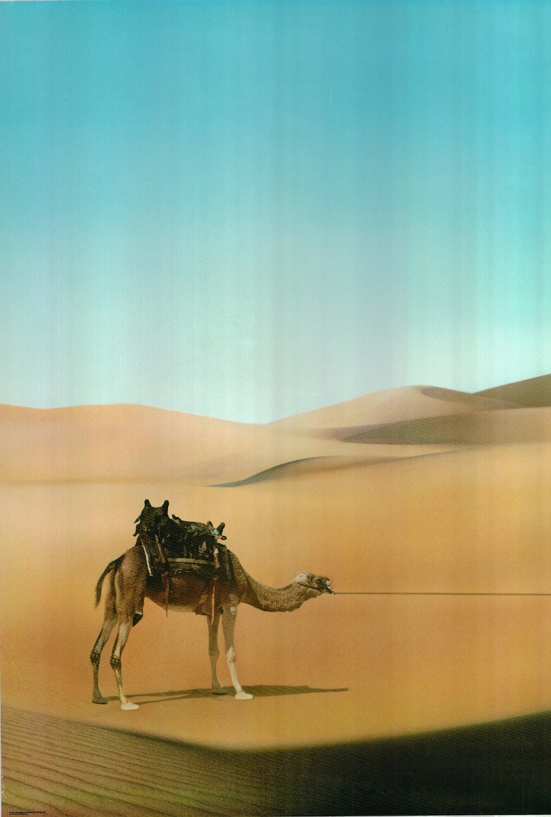 Ishtar 1987 One Sheet Poster Rolled (no Text) - Etsy