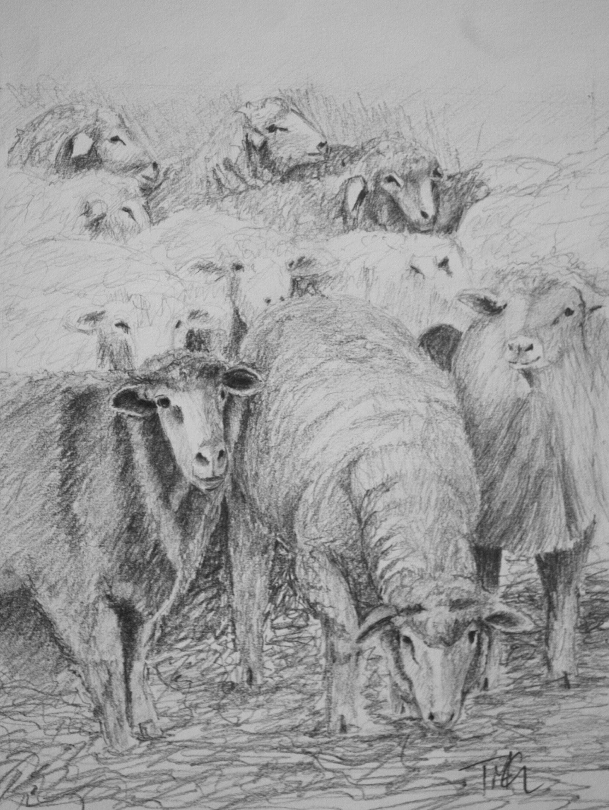 Print of Original Drawing of Sheepish Characters on Their Way - Etsy