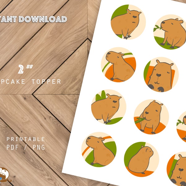 Capybara Birthday Cake Topper - Etsy Australia