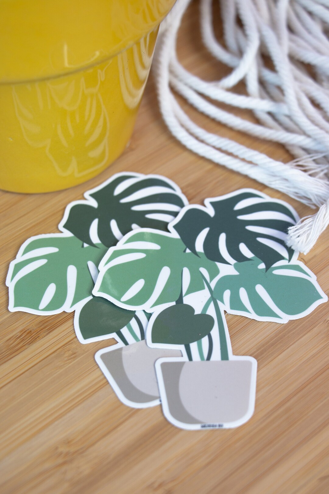 Monstera Plant Sticker 2 Pack - Etsy