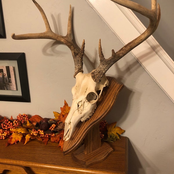 Wv for Deer Mount - Etsy