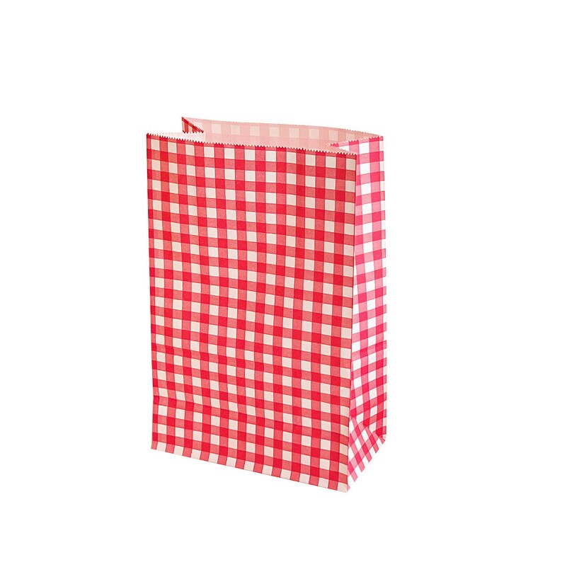 Checkered Party Favor Bag, 10pc, Goodie Bag, Gift Paper Bag, Snack Bag ...