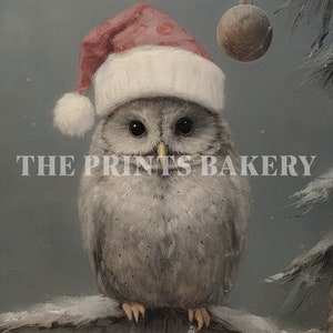 PRINTABLE Christmas Owl in Santa Hat Print, Cute Festive Holiday Wall ...