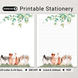 Stationery Set, Cute Guinea Pigs, Letter Writing Set, Digital Note ...