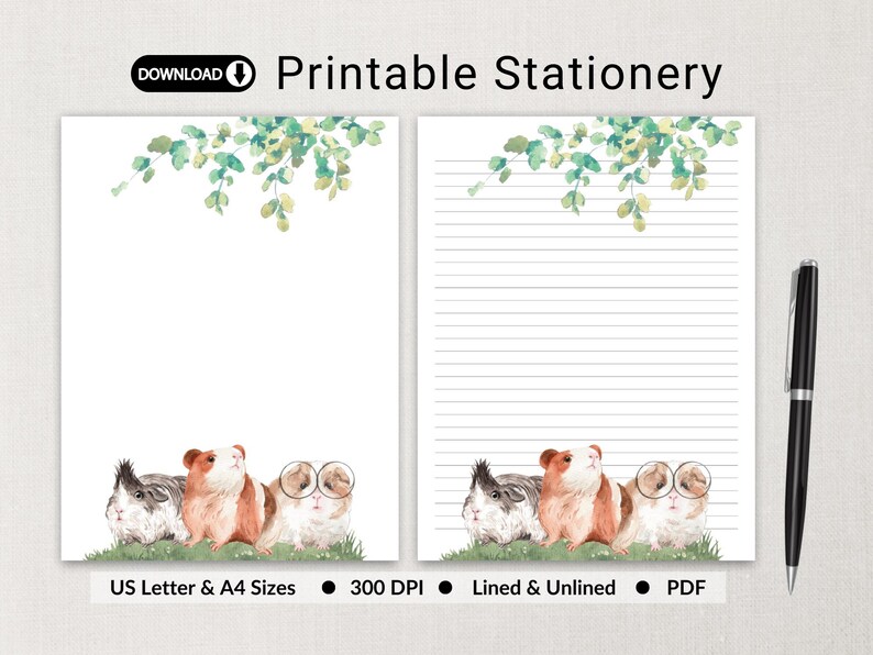 Stationery Set, Cute Guinea Pigs, Letter Writing Set, Digital Note ...