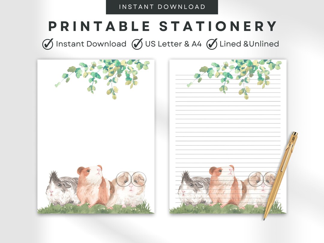 Stationery Set, Cute Guinea Pigs, Letter Writing Set, Digital Note ...