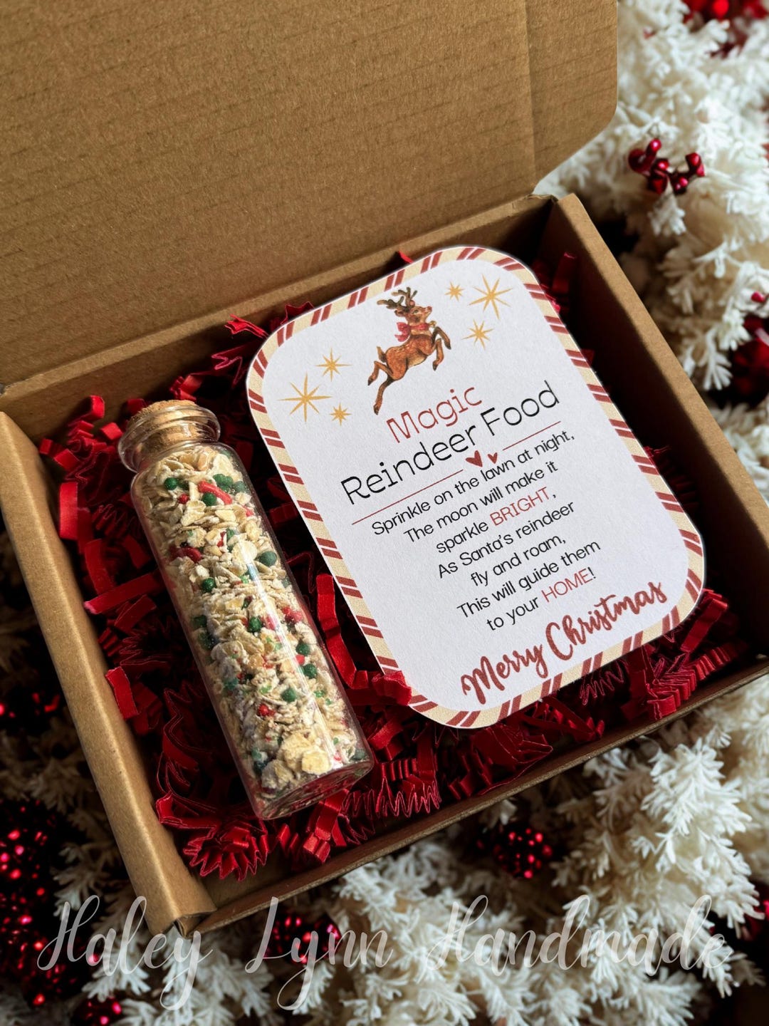 Magic Reindeer Food Kit | Christmas Eve Oats & Sprinkles - Etsy