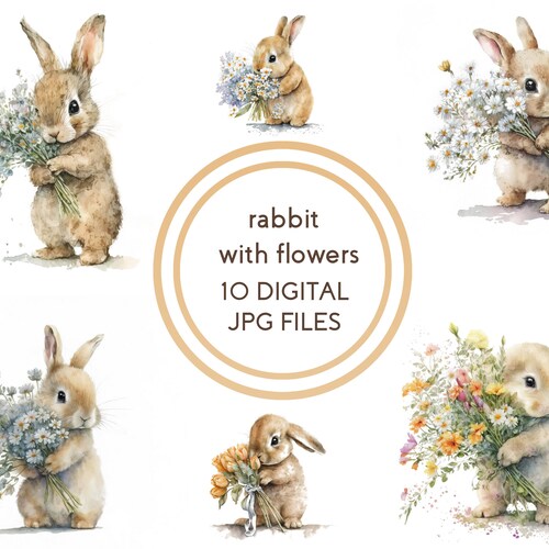 Bunny Watercolor PNG Teddy Cute Clipart Baby Animal Nursery - Etsy