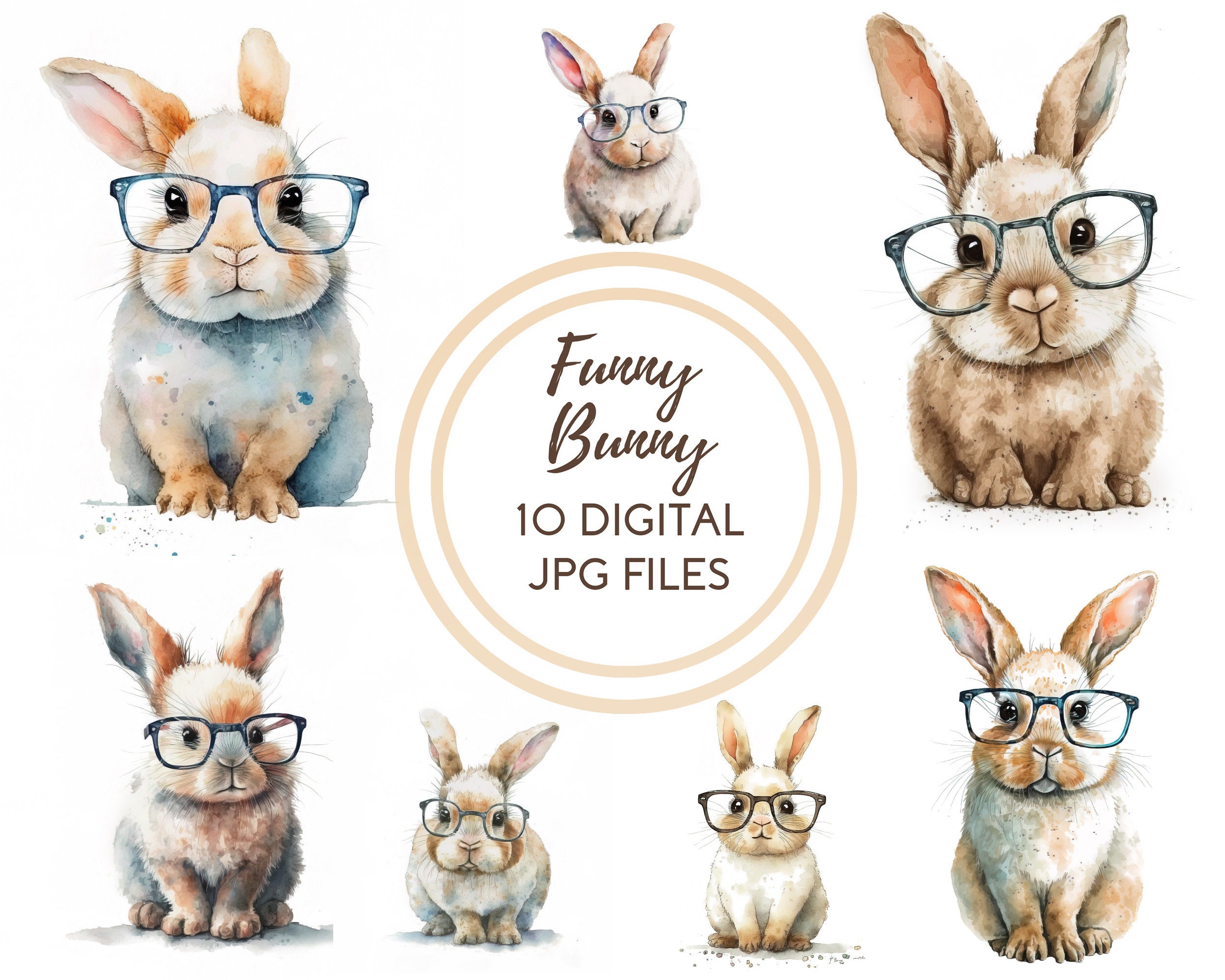 Cute Funny Bunny Pictures