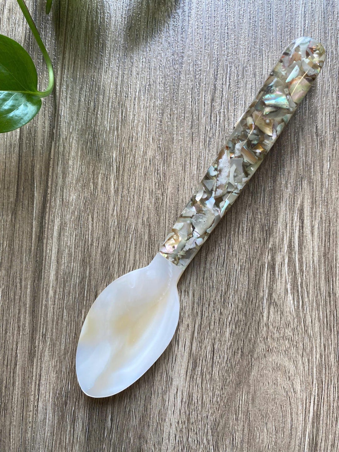 Mother of Pearl Teaspoon, Abalone Sea Shell, Spoon Sugar Tea Coffee ...