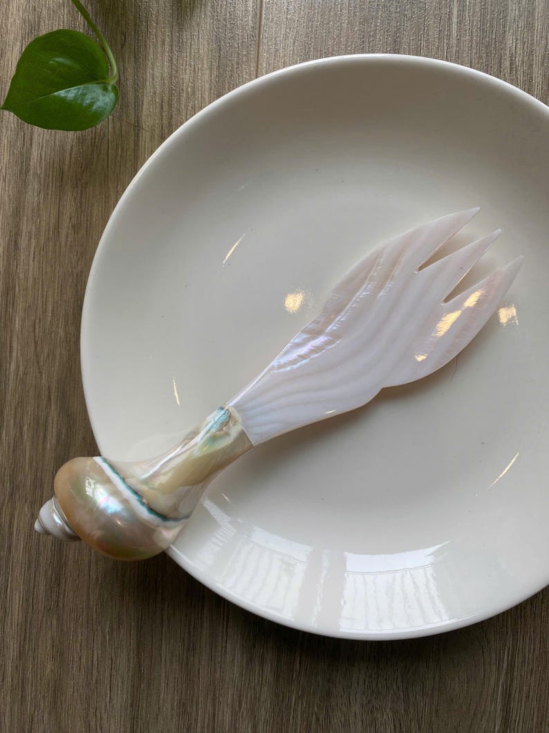 Large Set of Conch Shell Spoon and Fork, Mother of Pearl Serving Set ...