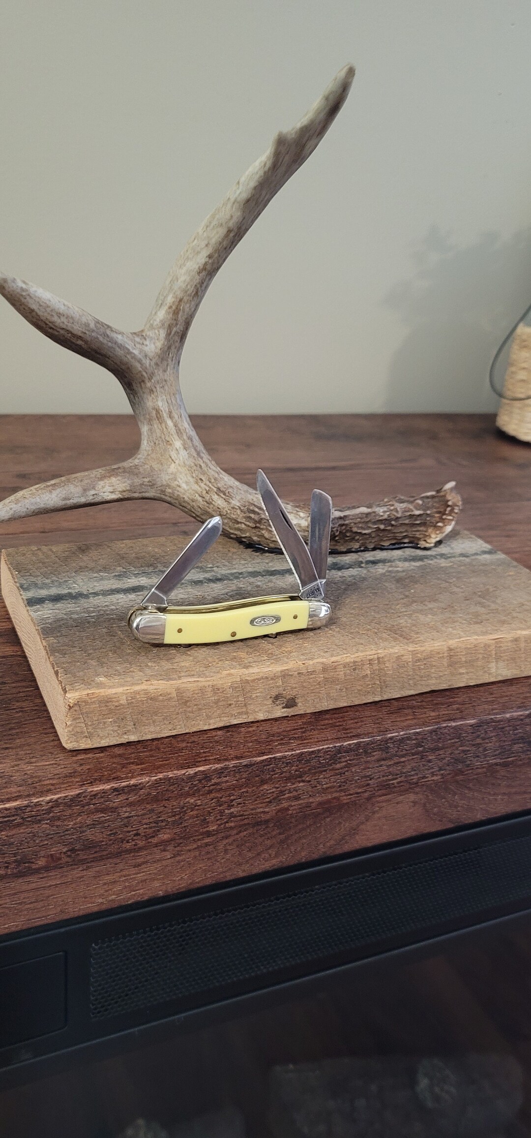 Whitetail Deer Antler Pocket Knife Display Case Knife or Others - Etsy