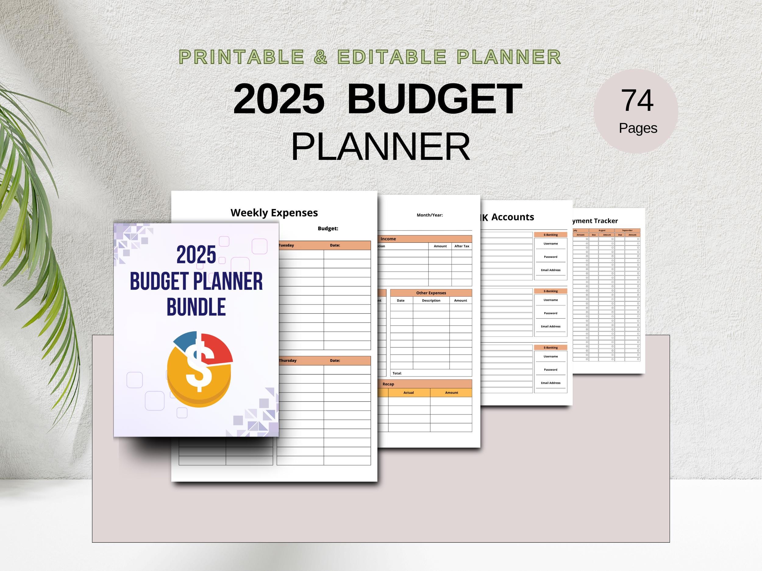 2025 Budget Planner | Editable Canva & Printable PDF | Financial Goal ...