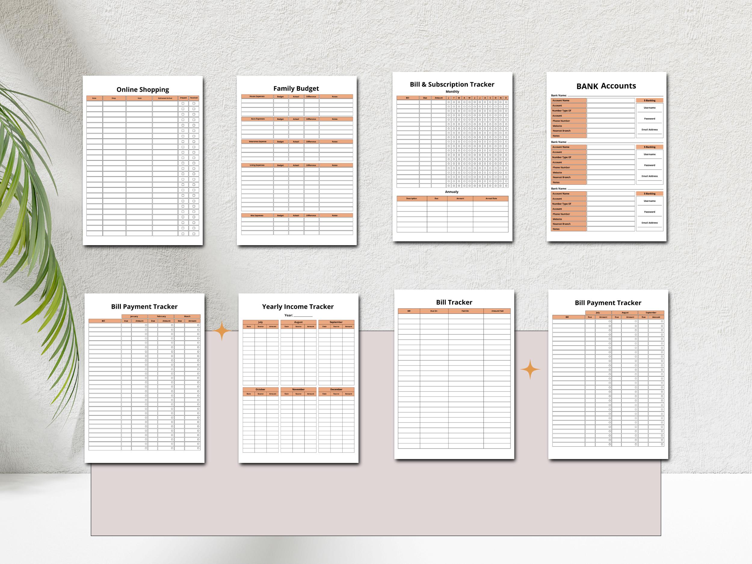 2025 Budget Planner | Editable Canva & Printable PDF | Financial Goal ...